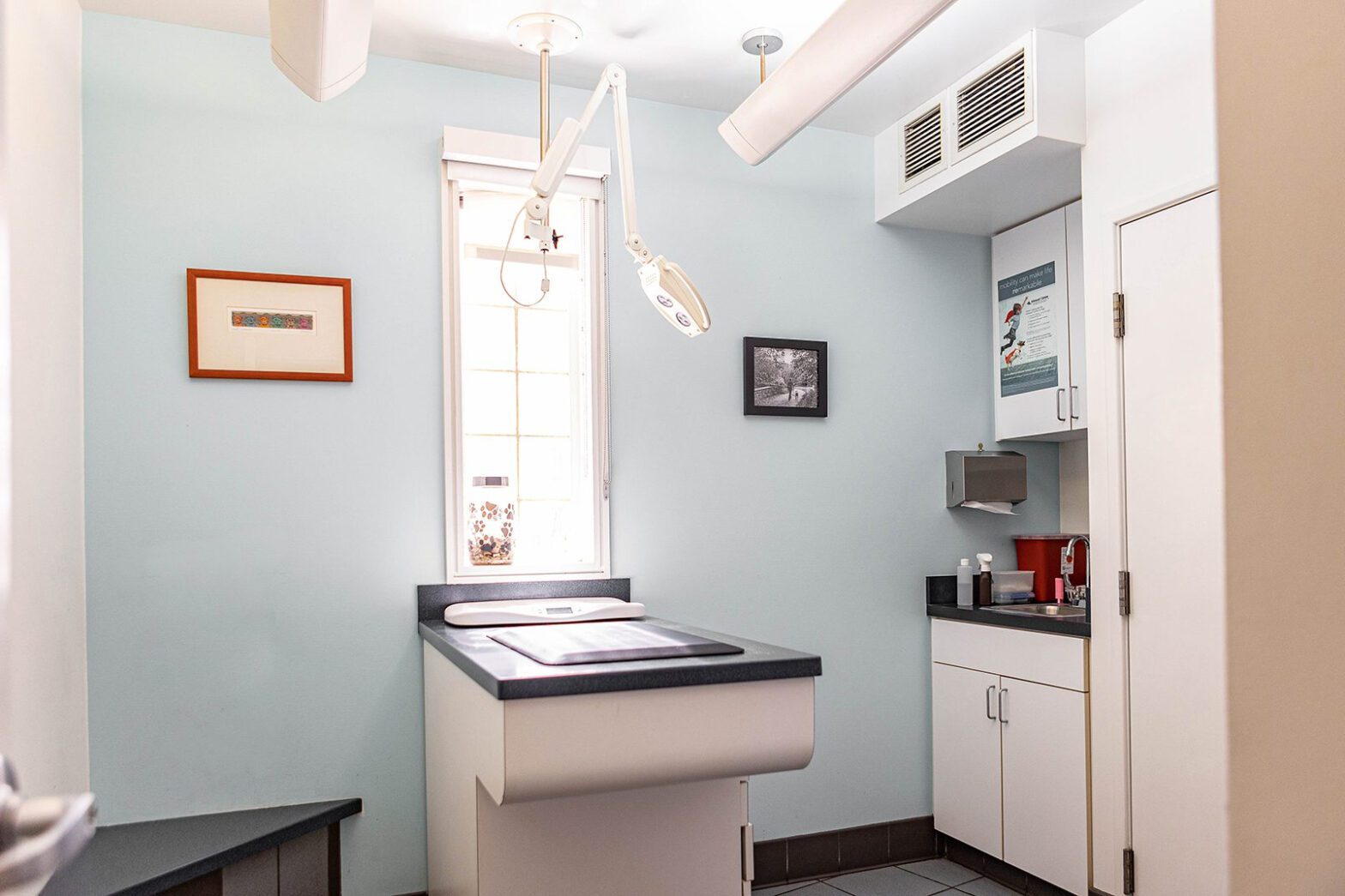 Request Appointment | Union Veterinary Clinic